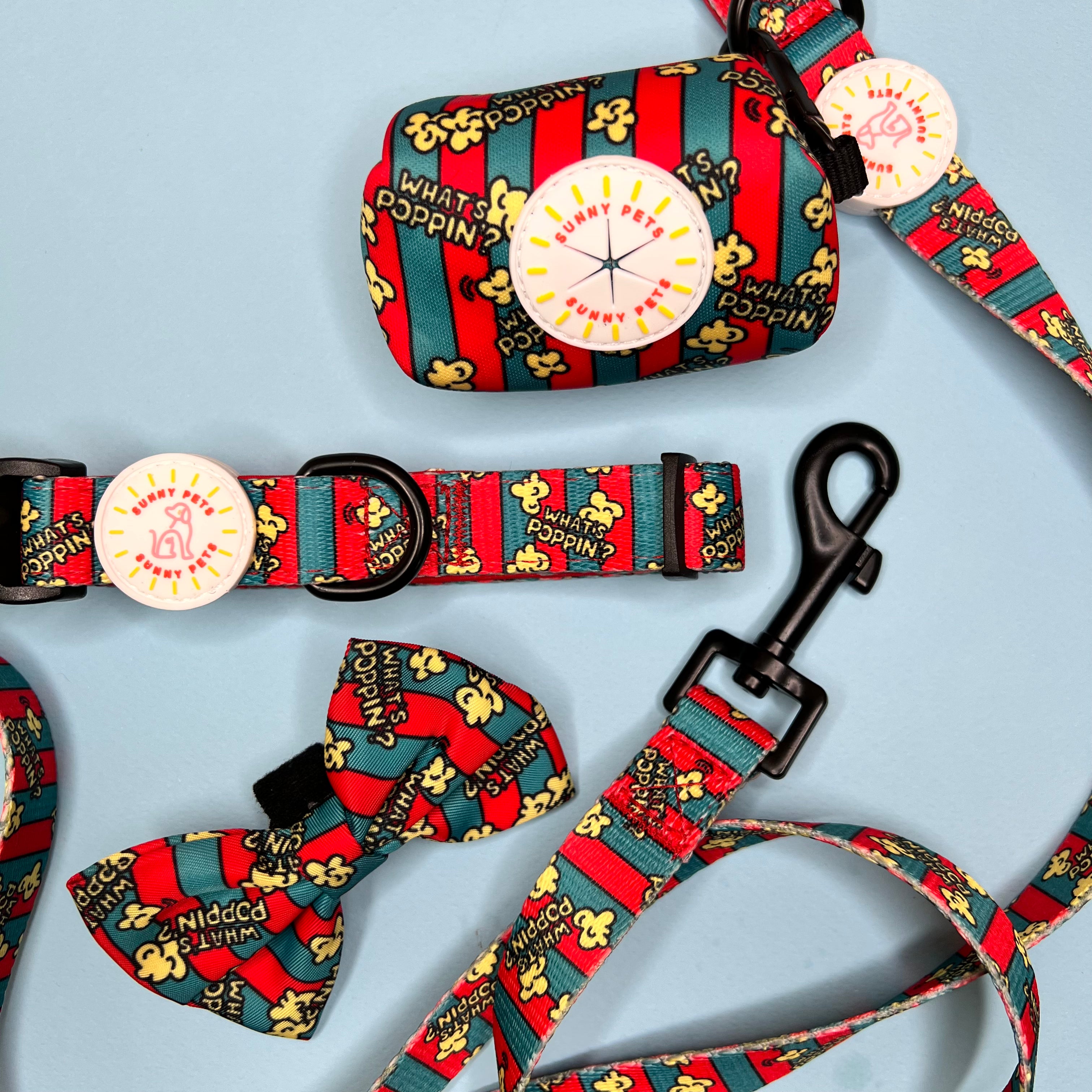 What's Poppin 4 pce Collar Bundle – Sunny Pets Australia